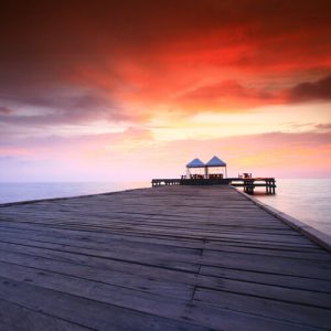 Welcome | Tanjung Bunga